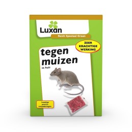 Rattengif tips| Ratten bestrijden