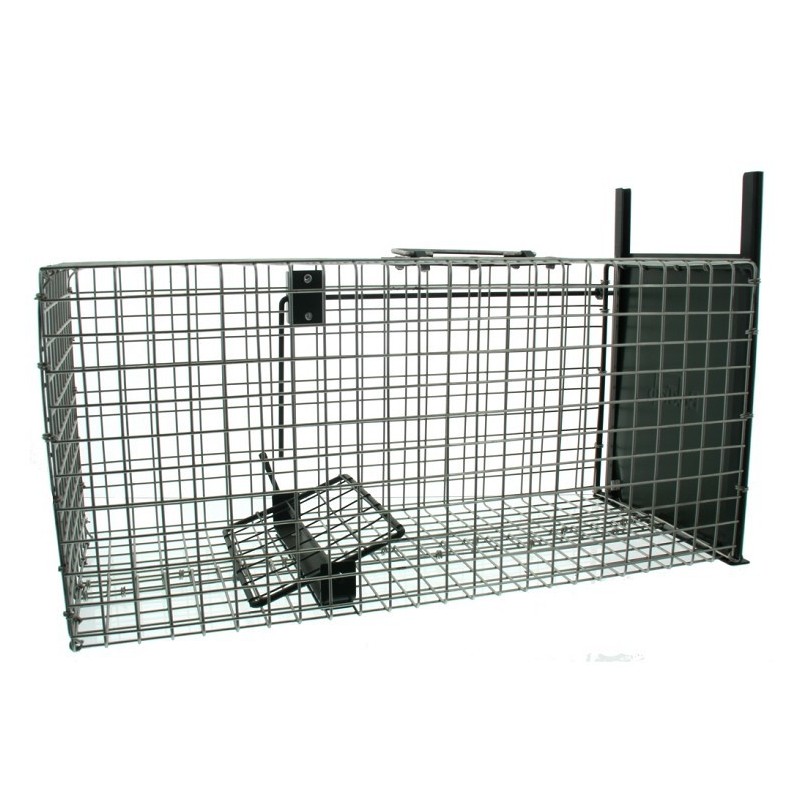 Ratten vangen