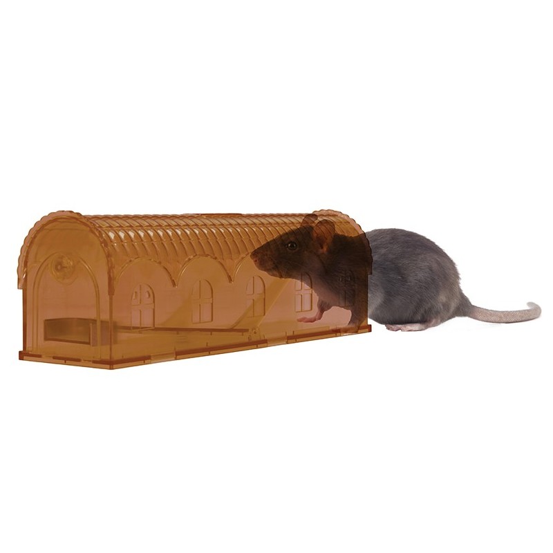 Knock Off rattenval levend