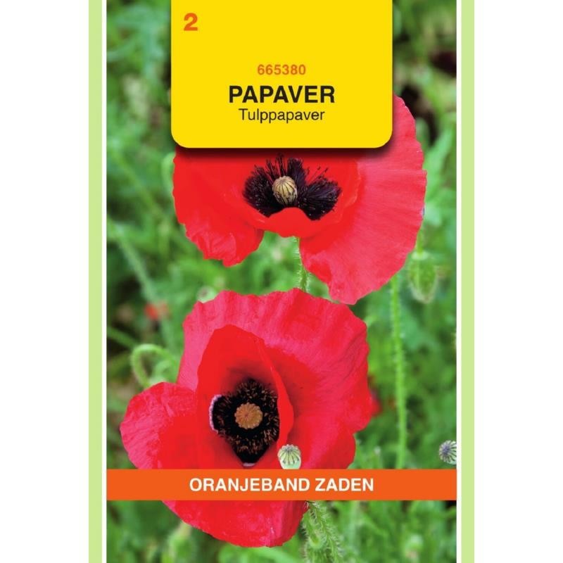 Papaver, Tulppapaver Oranjeband Zaden