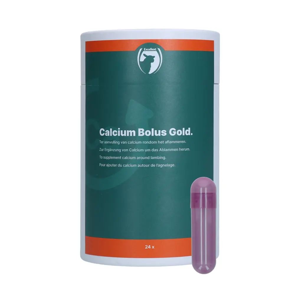 Calcium Bolus Gold Sheep 24st Excellent